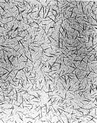TEM image of dilute suspension on carbon grid. Typical nanocrystal ...
